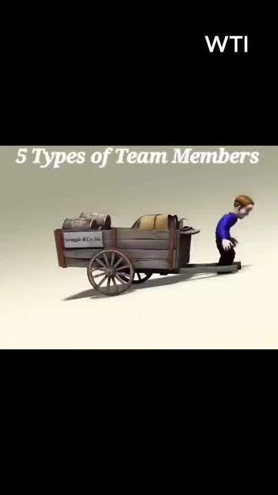 muhammad umair khan on linkedin 🍒a team leader plays a pivotal role in ensuring the success and