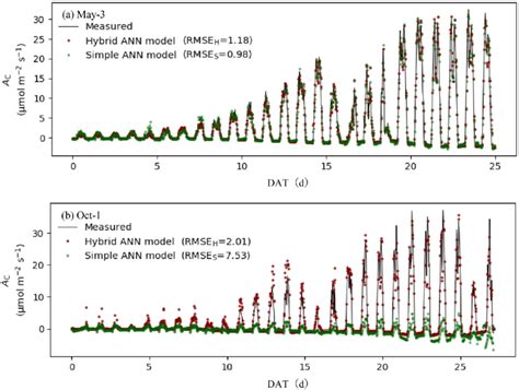 long term validations of the simple and hybrid artificial neural