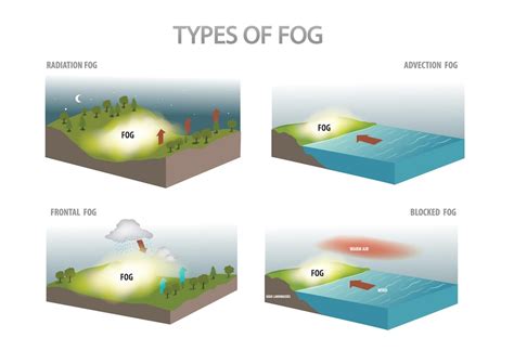 Premium Vector Types Of Fog Diagram