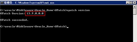 roundup of oracle patch day october 2024 sangfor