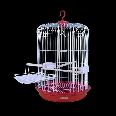 Gaiola Criadeira para Periquitos e Agapornis Criação Segura e Confortável