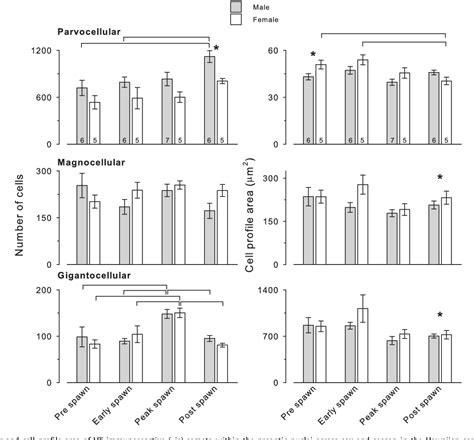 Figure 1 From Sex And Temporal Variations Of The Vasotocin Neuronal