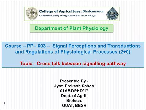 Cross Talk Between Signalling Pathway Ppt Endocrine And Metabolic Diseases Diseases And