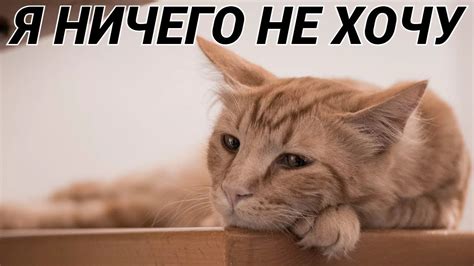 Когда ничего не хочется и теряешь веру в себя что делать Рассказывает психиатр Youtube