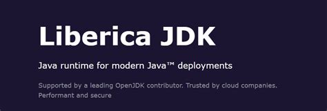 Использование Liberica Jdk для запуска Java Использование Liberica Jdk для запуска Java