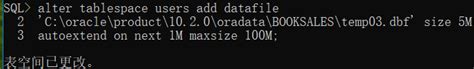 Oracle数据库物理存储结构管理1向 Booksales数据库的 Users表空间添加一个大小为10mb的数据文件users02 Csdn博客