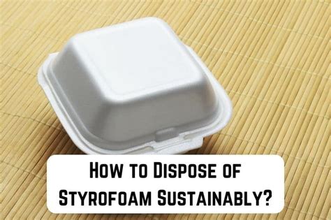 How To Dispose Of Styrofoam Sustainably Conserve Energy Future