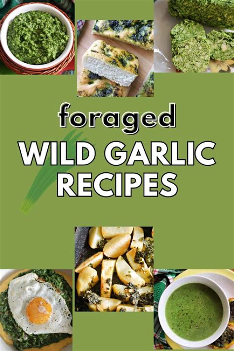 Easy Wild Garlic Recipes My Gorgeous Recipes