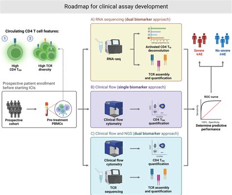 Potential Roadmap For Clinical Assay Development Following Prospective
