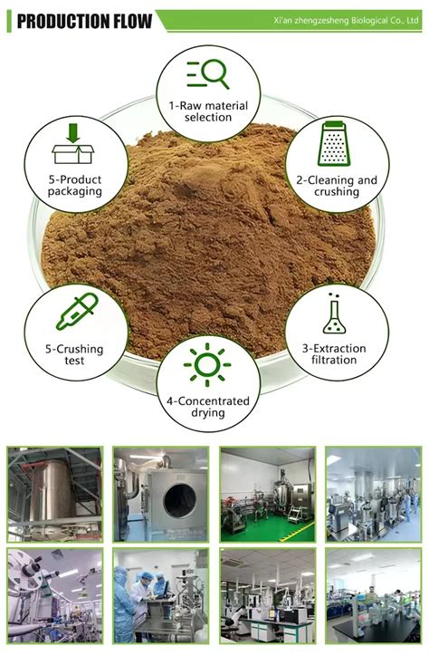 Aspergillus Niger Fungus Strain Fermentation Extraction Glucose Oxidase