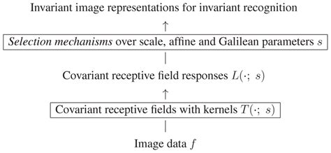 schematic overview of how the covariance properties of the receptive