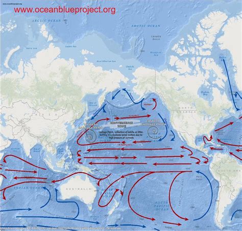 Ocean Currents Map • Environmental Nonprofit Organization