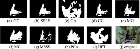 segmentation results from eight segmentation algorithms on segtrackv2