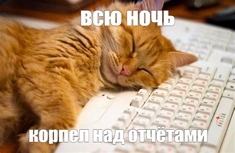 Мем всю ночь корпел над отчётами Все шаблоны Meme