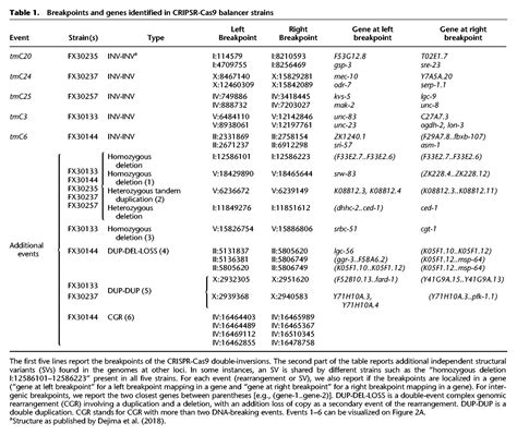 genome sequencing of c elegans balancer strains reveals previously unappreciated complex