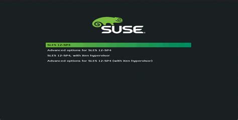 How To Reset Forgotten Root Password In Suse Enterprise Linux