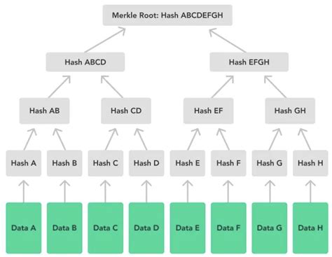 Lakshya Bansal On Linkedin Git Versioncontrol Merkletree Softwaredevelopment Developertools
