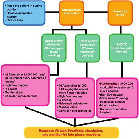 Flow Diagram Showing The Management Of Anaphylactic Reaction