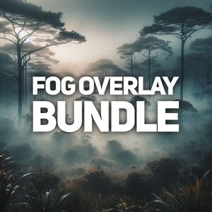 Photoshop Tree Elevations PNG Landscape Architectural Graphics Clipart Templates Symbols Design