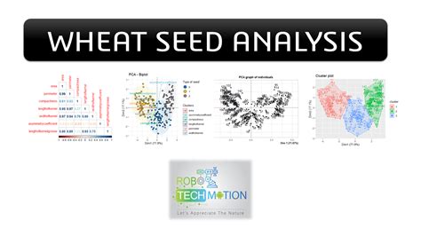 Wheat Seed Analysis R Programming Rstudio K Means Clustering Principal Component