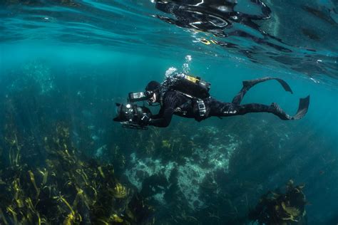 In Conversation With Pippa Ehrlich Save Our Seas Foundation