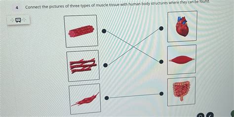 Matching Question Type Example Support Questions Atomi Community