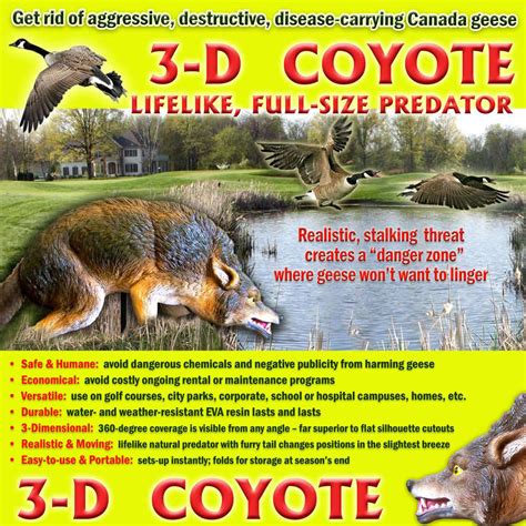 Coyote Silhouette For Goose Control