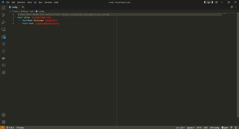 使用 vscode Remote SSH 插件 vscode server 进行远程开发 朝花夕拾