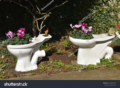 Toilet Flower Planter