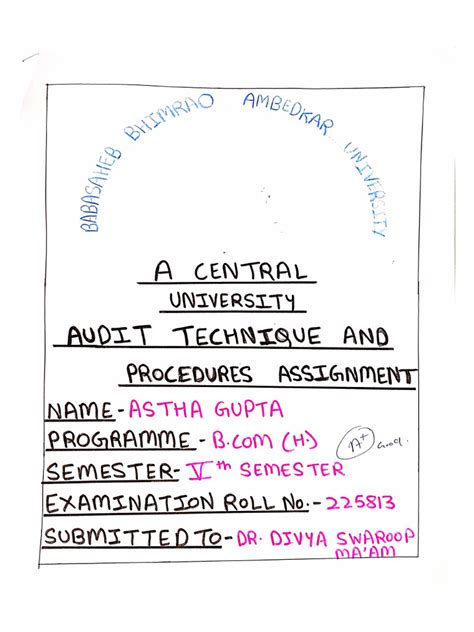 Astha Gupta Auditing Assignment Pdf