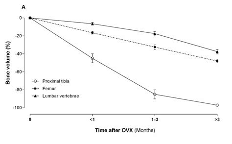 Ovariectomized Rat Model Of Osteoporosis A Practical Guide Pmc
