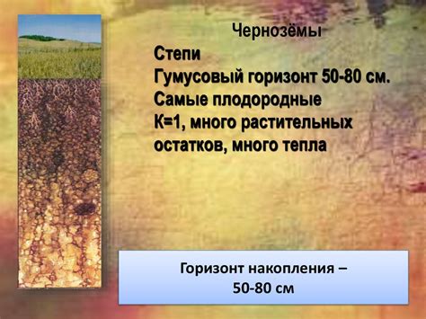 Типы почв России и их география презентация онлайн