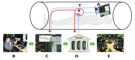 Technical Solutions To Collect Neural Signals In Fmri Scanner The Download Scientific