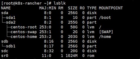 linux挂载新磁盘到根目录 linux根目录 挂载 csdn博客