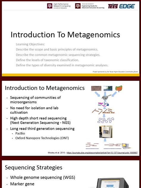 Introduction To Metagenomics Pdf 16 S Ribosomal Rna Biotechnology
