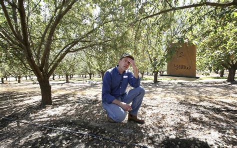 Farms Fight A Pesky Almond Moth With Sex Radiation ‘mummies Gus Pappas