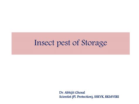 Pdf Insect Pest Of Stored Grain