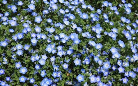 Dao Integration Test With Testcontainers Spring Boot Liquibase And