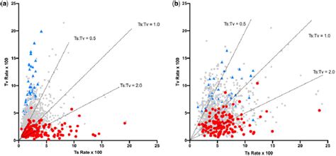 Transition And Transversion Rates For Substitutions From T A And C
