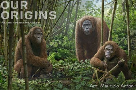 Gigantopithecus Reconstruction At Or Near Its Limit Prehistoric