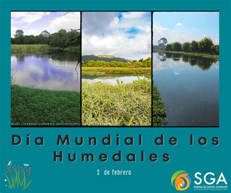 02 De Febrero Día Mundial De Los Humedales Sistema De Gestión Ambiental