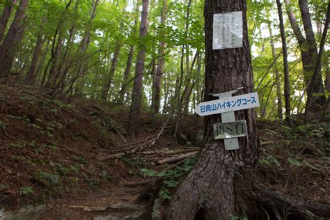 日向山・・・その① ねことひかりもの＊＊prologue 3