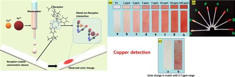 Colorimetric Nakedeye Papersensor Swabkit Devices Detection Dr Mahesh P Bhat