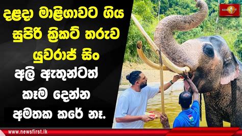 🔺දළදා මාළිගාවට ගිය සුපිරි ක්‍රිකට් තරුව යුවරාජ් සිං Youtube