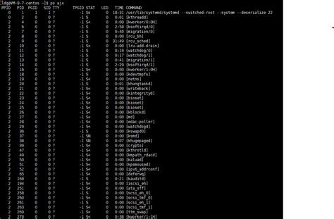 Linux进程概念 Csdn博客