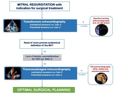 Algorithm To Follow For Preoperative Evaluation Of Mitral