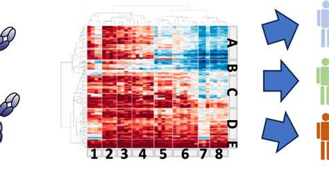 Unraveling The Rheumatoid Factor Autoantibody Repertoire Profile Preceding Disease Onset