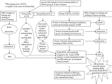 The Training And Auditing Protocols For Different Trainees Group A For Download Scientific