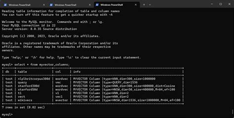 myvector and cohere binary vector embeddings by shankar iyer devops dev