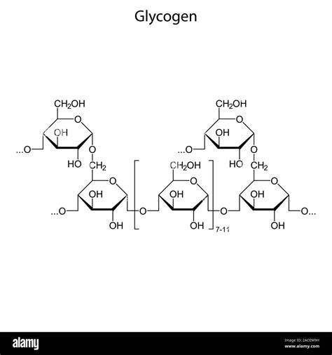 Skeletal Formula Of Glycogen Chemical Molecule Stock Vector Image